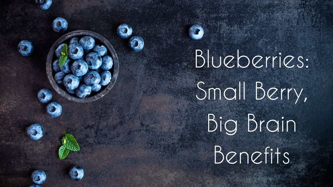 Blueberries: Small Berry, Big Brain Benefits – The Organic Compounding ...