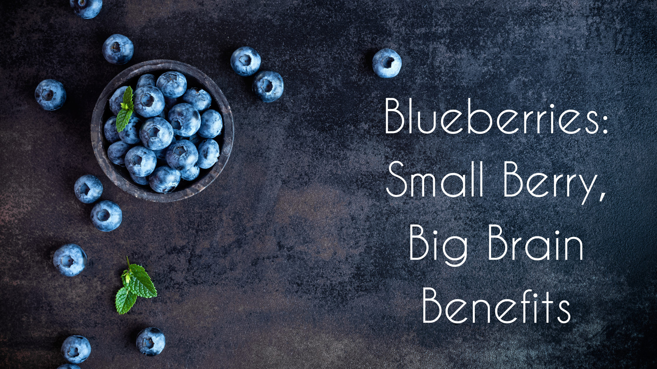 Blueberries: Small Berry, Big Brain Benefits – The Organic Compounding ...