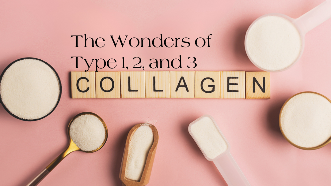 The Wonders of Type 1, 2, and 3 Collagen – The Organic Compounding Pharmacy