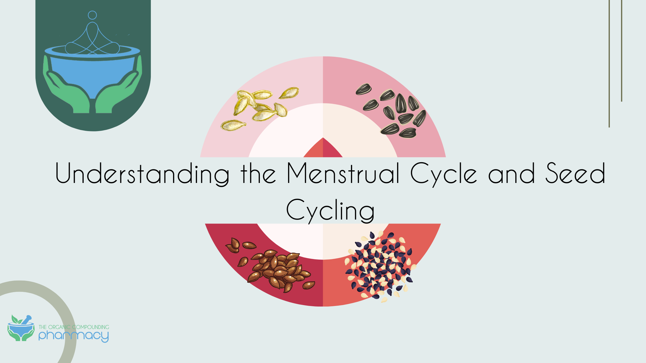 Understanding the Menstrual Cycle and Seed Cycling – The Organic ...