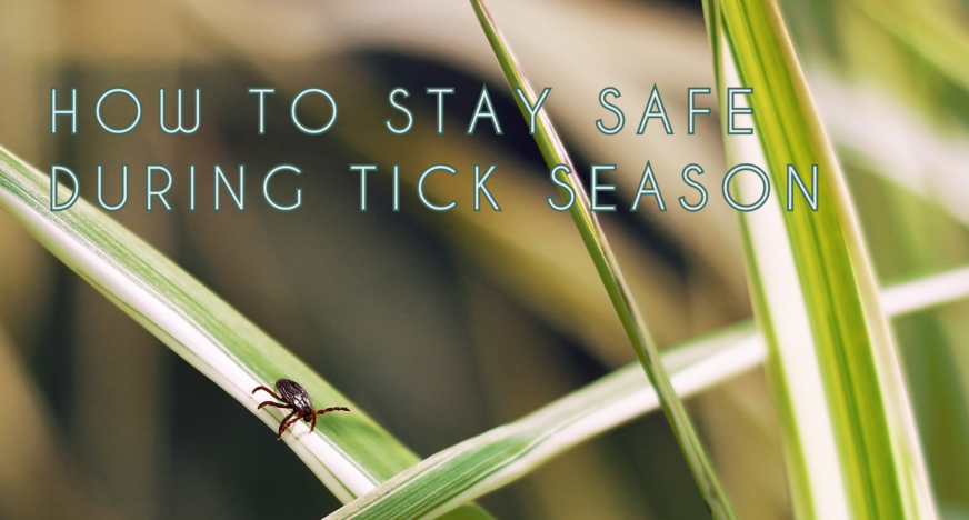Staying Safe During Tick Season: Prevention, Detection, and Response ...